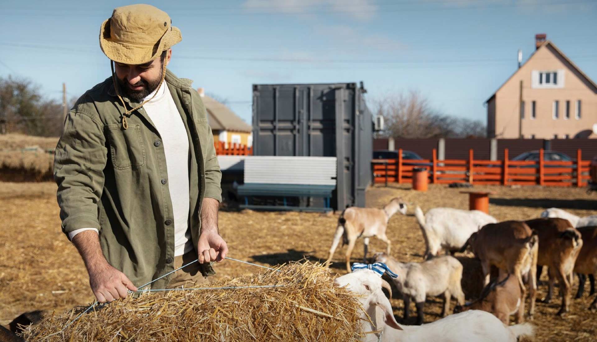 Main Home – Therapia